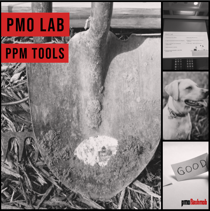 PMO Lab: Driving Executive Business Decisions | House of PMO
